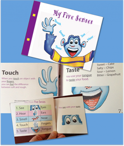 Teaching Children About The Five Senses | Sing Laugh Learn